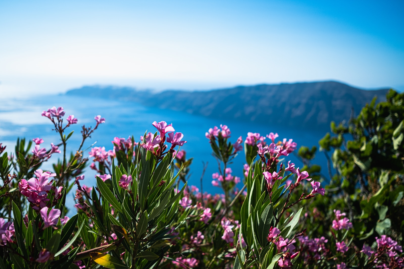Santorini's Climate Explained: Best Times to Visit for Ideal Weather ...